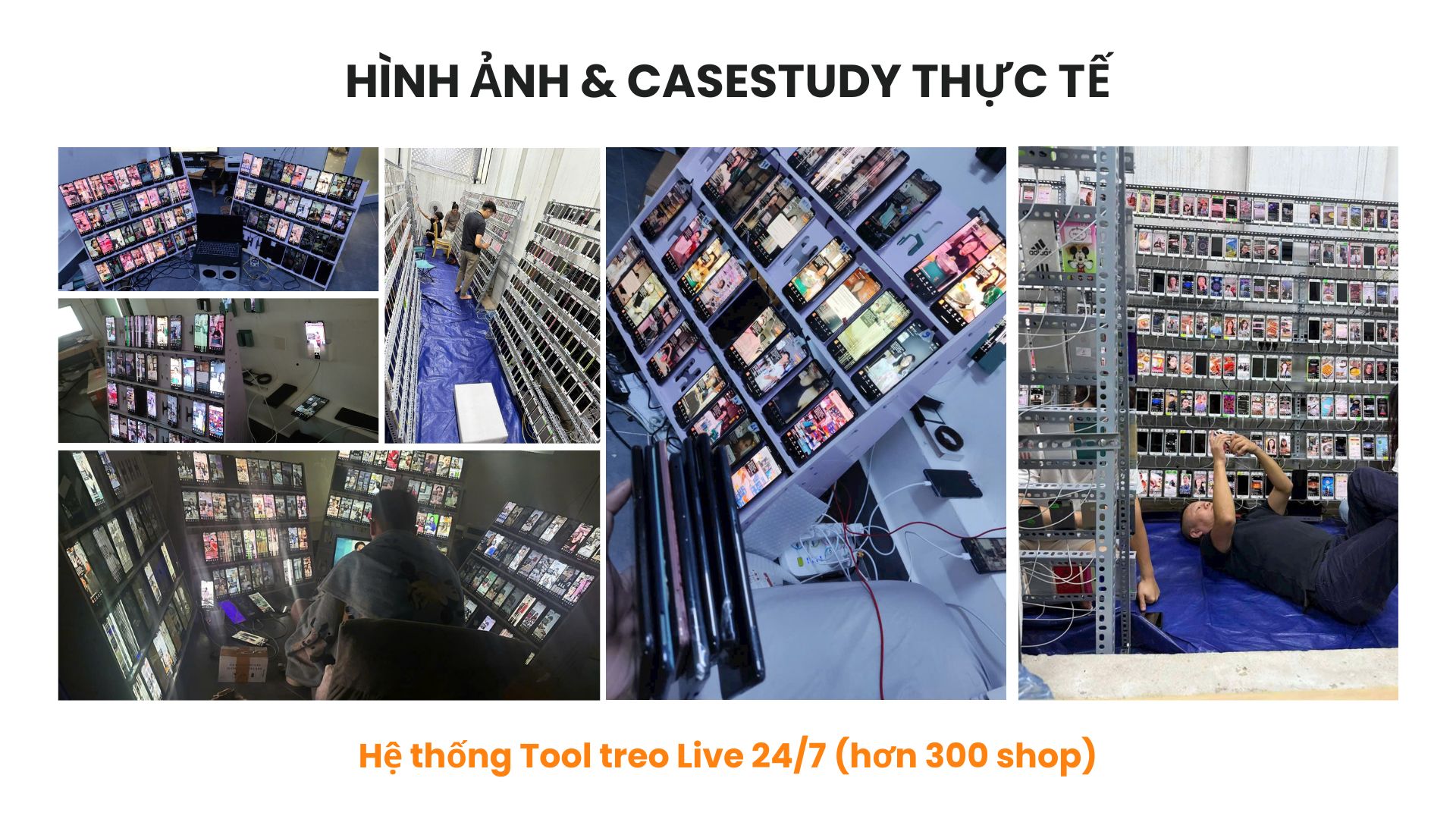 XStream - Tool Treo Live Tự Động 24/7