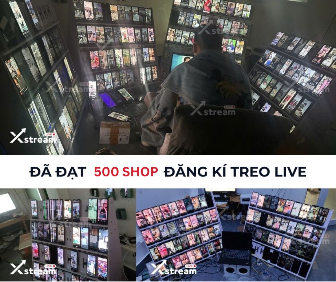 XStream - Tool Treo Live Tự Động 24/7